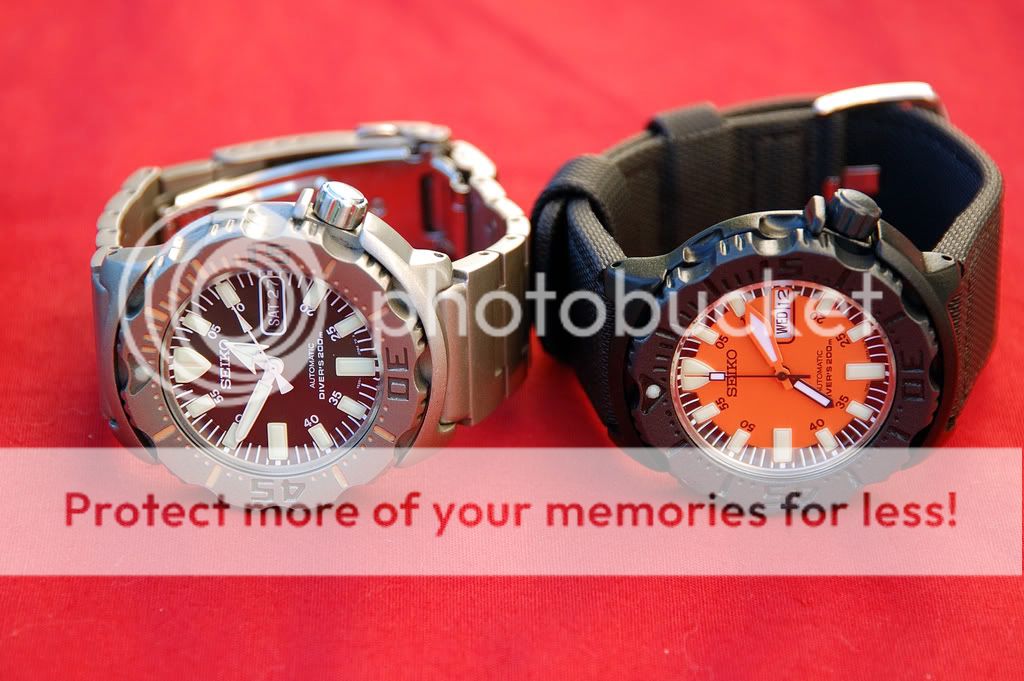 Watching for the Cure Slow Roll Out - Check Here Daily | WatchUSeek ...