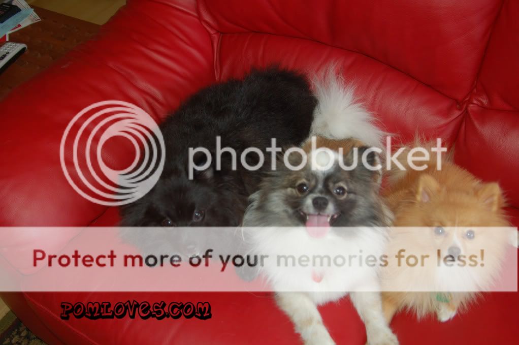 South Florida GTG Pictures | WatchUSeek Watch Forums