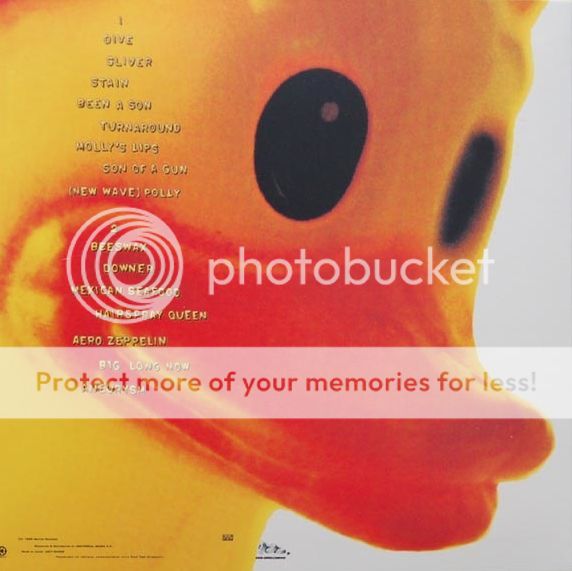 Post Pics of Some Of The Best Album Back Covers Ever! | Steve Hoffman ...