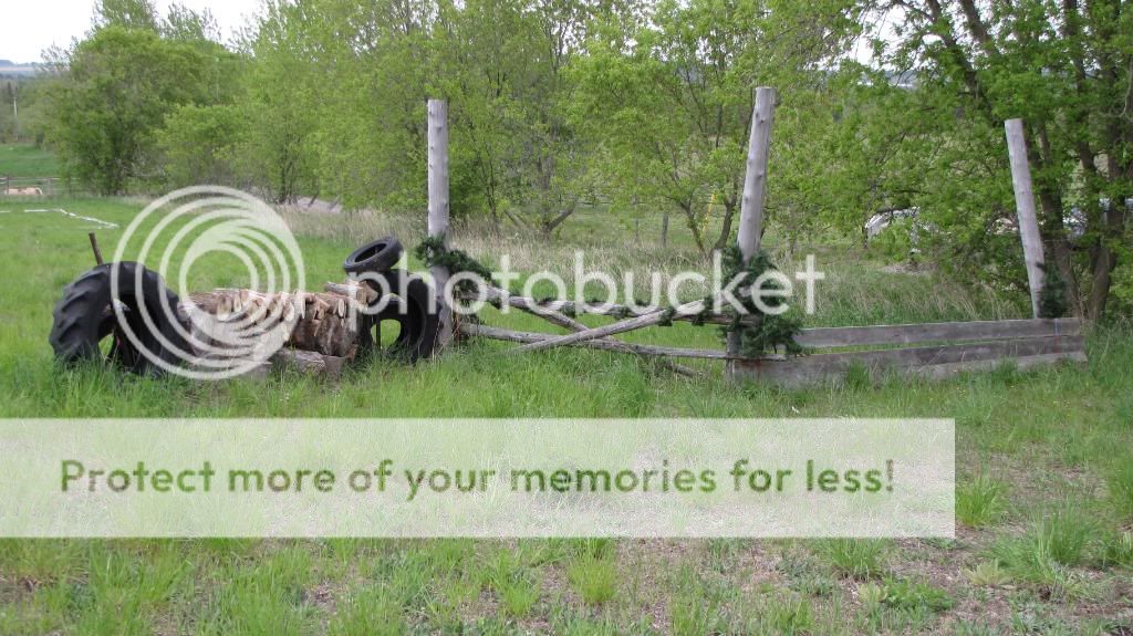 Home made cross country jumps | Horse and Hound Forum